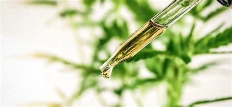 Cbd Eye Drops In 2026 👁 Is It Perfect Option For Cataracts Glaucoma And Dry Eyes