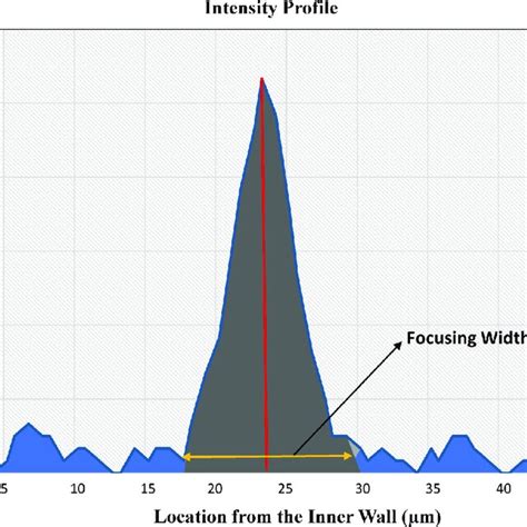 Intensity Profile And Distance From The Inner Wall Of 99 μm Particles Download Scientific