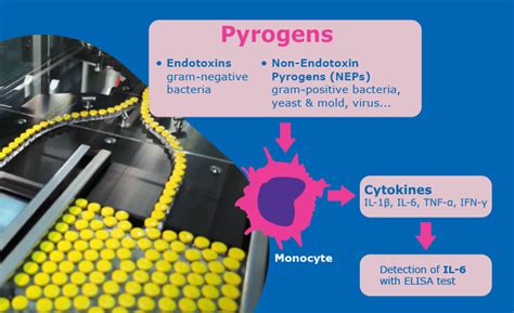 Pyrogen Risk And Use Of Mat Test In Pharma Processing