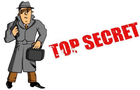 Buyers Guide Stealthy Ninjas