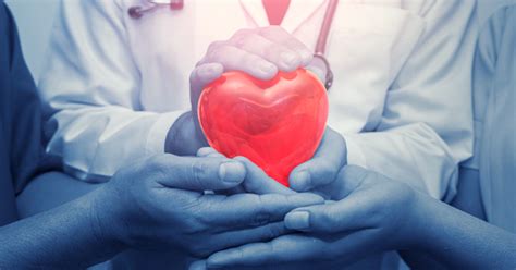 American Heart Association Program To Breed A New Generation Of Lifesavers