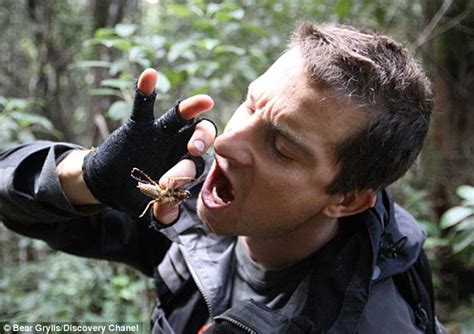 Here Are 11 Living Things Bear Grylls Has Eaten If He Is In Town Hide