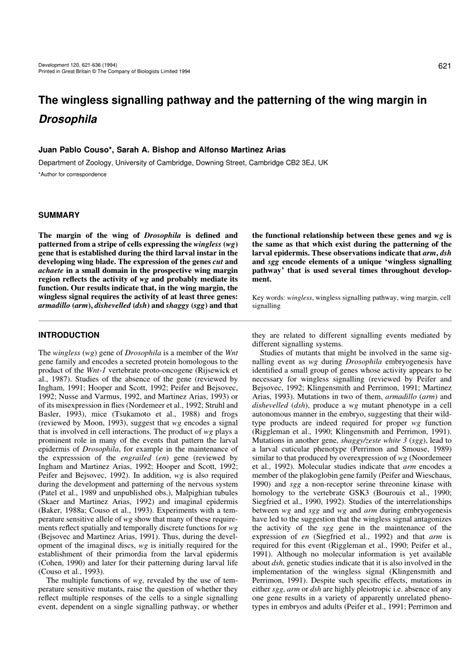 Pdf The Wingless Signalling Pathway And The Patterning Of The Wing Margin In Drosophila
