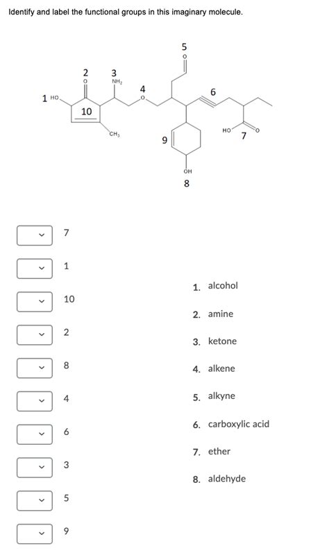 Solved Identify And Label The Functional Groups In This Chegg