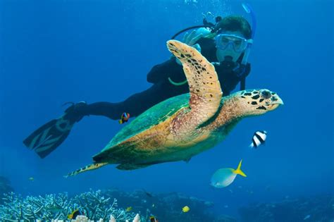 【水肺潛水懶人包】水肺潛水證照可以幹嘛？潛水考照 10 大常見問題