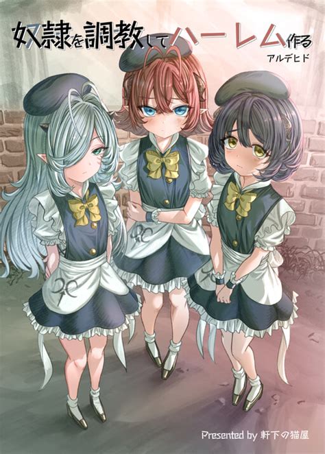 Dorei Wo Choukyoushite Harem Tsukuru Esam Solidarity