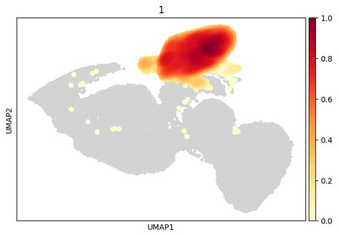 Saving Flow Analysis Data As Anndata Objects For Scanpy — Flowkit