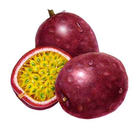 5300 Passievrucht Stockillustraties Royalty Free Vector Illustraties En Clipart Istock