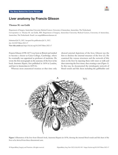 Pdf Liver Anatomy By Francis Glisson