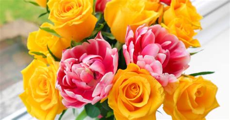 Ако сте Рак Скорпион и Риби петък носи за вас стабилност и сигурност За Жената