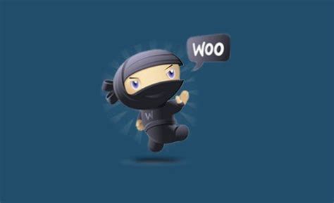 Wp Rich Snippets Woocommerce Reviews Addon Wapoo Club