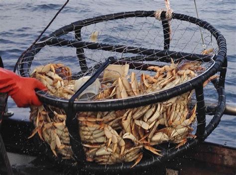 Does Anybody Know A Fishing Guide For Dungeness Crab Around Portland