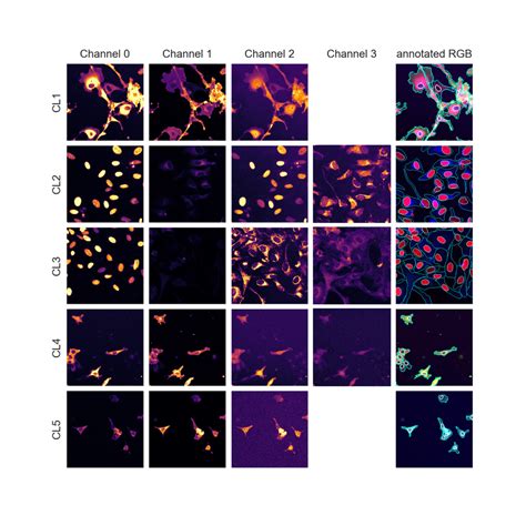 Image Samples From The Different Assays Showing Individual Fluorescence Download Scientific