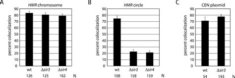 Targeting Of Cohesin By Transcriptionally Silent Chromatin