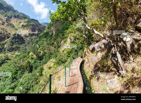 Hiking Trail Along Levada Nova Hike Tour On Madeira Island In Portugal