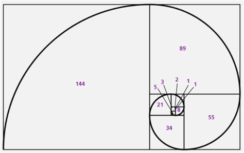 Fibonacci Sequence On Basketball Court Map