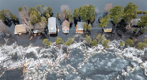 Lori Cima Marro Posted On Linkedin