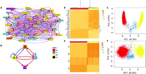 Coarse Graining A Gene Network Involved In Small Cell Lung Cancer
