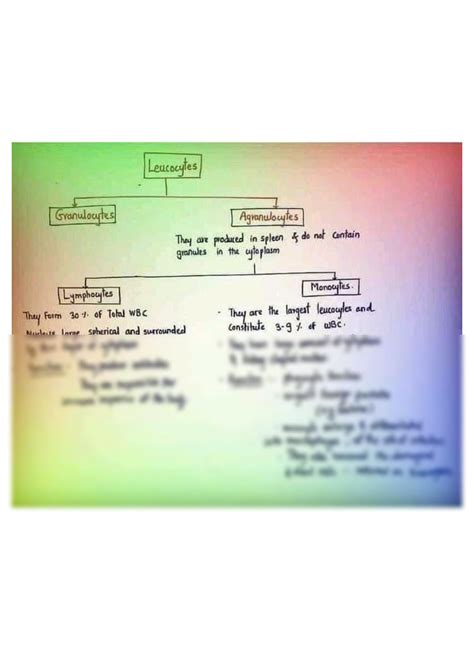 Solution Blood Cells Flow Chart Studypool