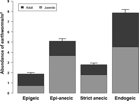 Histogram Of The Abundance Earthworms By Functional Group Epigeic