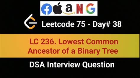 Leetcode 236 Lowest Common Ancestor Of A Binary Tree 38th In