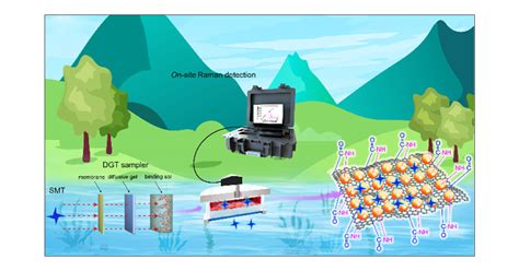 A Sers Responsive Dgt Sensing Device For On Site Determination Of