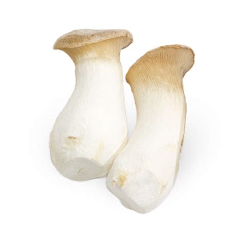 King Oyster Mushroom Chinese