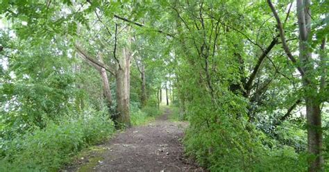 Man Seen Walking Around Naked In Park Near Primary School Manchester Evening News