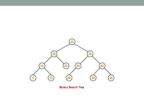 Solution Binary Search Trees And Avl Trees Studypool