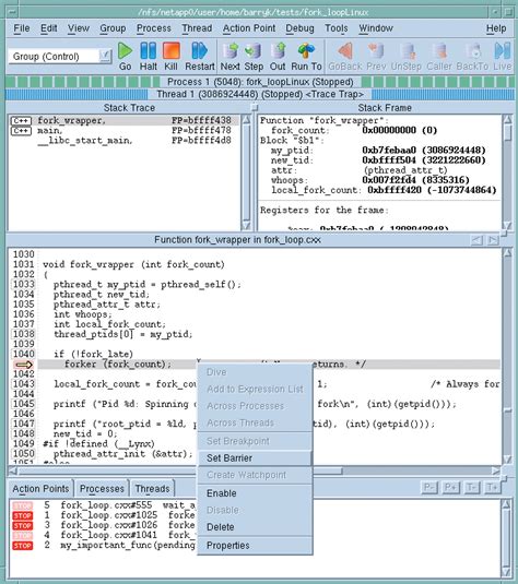 Software De Depuración Para Cc Y Fortran Totalview Debugger