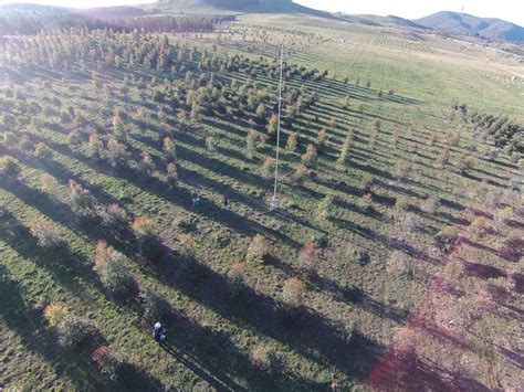 The Phenomic And Environmental Sensor Array ANU Centre For Water And Landscape Dynamics