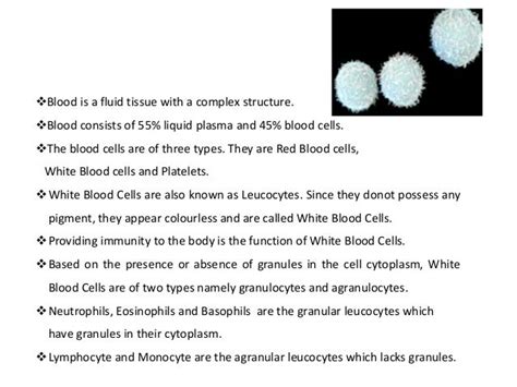 Powerpoint Presentation On White Blood Cells