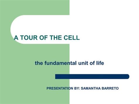 The Fundamental Unit Of Life Class 9 Pptx Biological Sciences Science