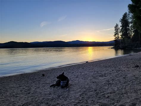 West Shores Campground 7 Lots Priest Lake Id Allcampsandparks