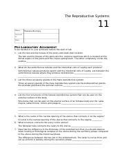 Pre Lab Docx The Reproductive Systems Name Shanena Brumsey Instruct Or Date PRE
