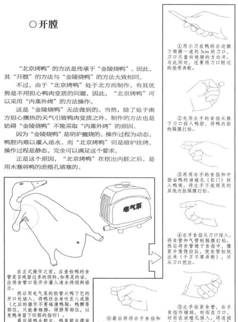 集团动态详情