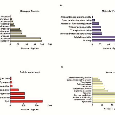 Gene Ontology Go Functional Annotations For Degs Of Ahol1 Cell Line