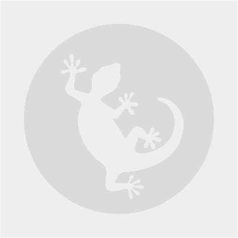 Exo Terra Reptile Hiding Caves