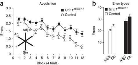Associative Long Term Spatial Reference Memory On The Radial Maze Task Download Scientific