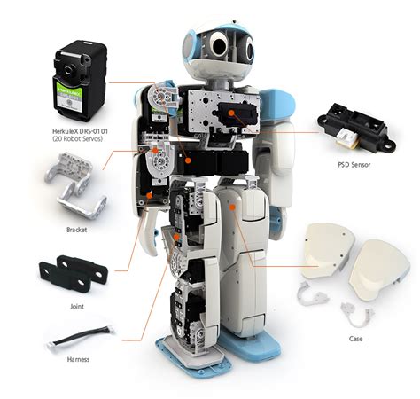 Hovis Eco Plus Humanoider Roboter Mit Dof Botland Robotikgesch Ft