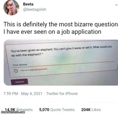 Most Bizarre Interview Question BreakBrunch