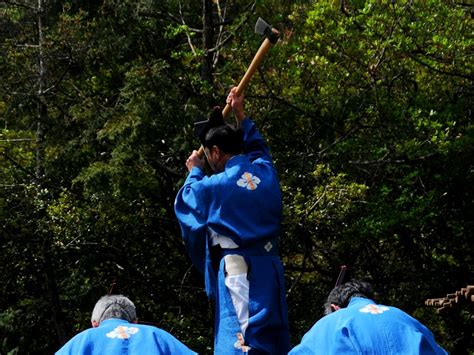 伊勢神宮大麻用材伐始祭の祭典の様子 伊勢志摩経済新聞