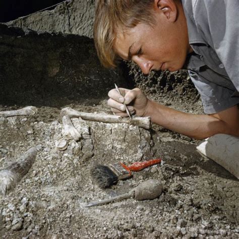 Paleontology