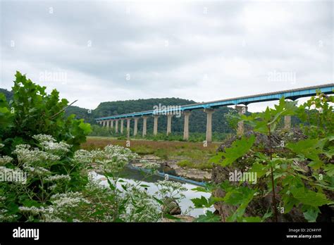 Blick Zwischen Pflanzen Und Felsen Auf Die Norman Wood Bridge Über Dem