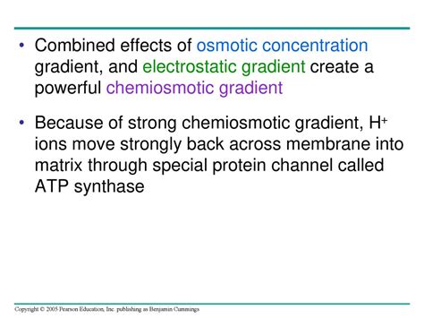 essential knowledge 2 a 1 ppt download