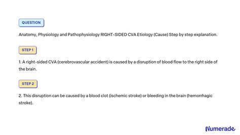 Video Solution Anatomy Physiology And Pathophysiology Right Sided Cva