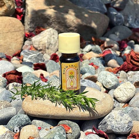 Etheric Oil Rosemary Bio Sauna Maailmalla