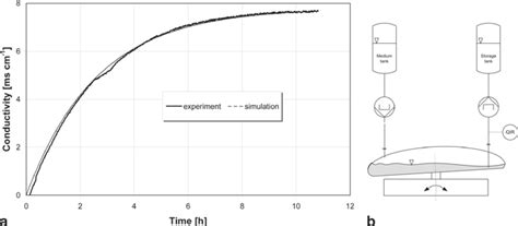 Residence Time Distribution A Measured In Biowave ® And Theoretical Download Scientific