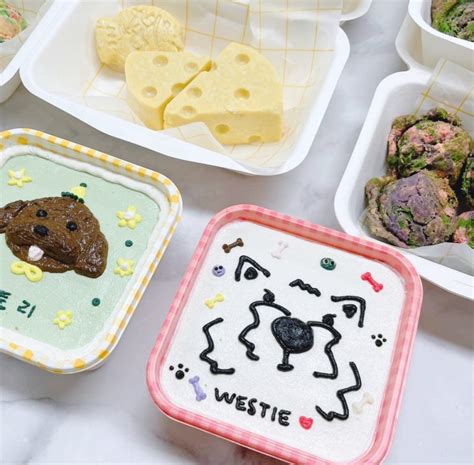 펫푸드자격증 취득 가능한 서울 부산 펫푸드학원 펫푸드스타일리스트 부산 강아지수제간식학원에서 펫푸드전문가로 거듭나기 네이버 블로그