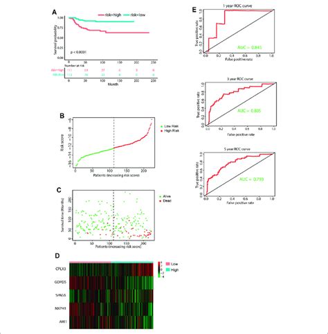 External Validation Of The Five Gene Signature A Km Curves For